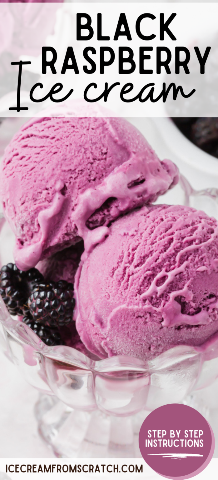 Black Raspberry Ice Cream - Ice Cream From Scratch
