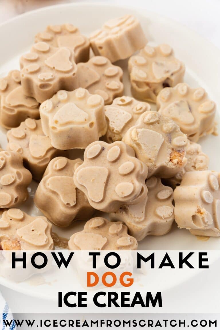 Dog Ice Cream - Ice Cream From Scratch